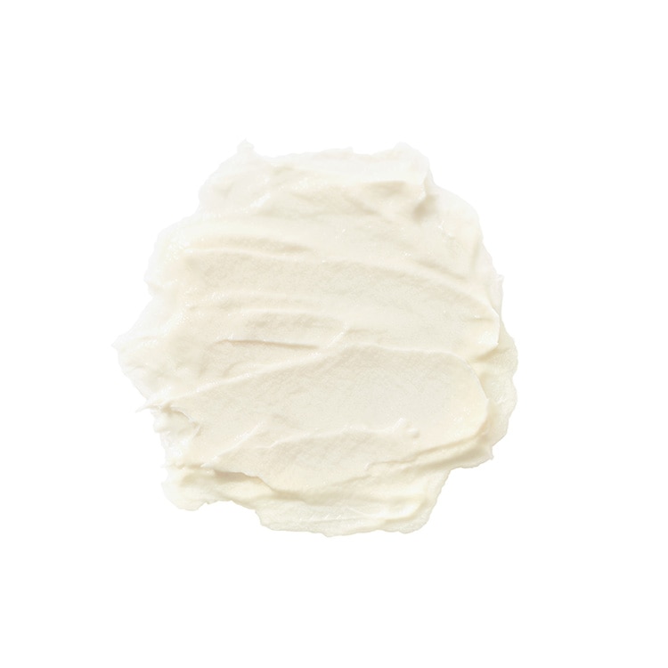 ワフードメイド SKクリーム（酒粕クリーム） | 株式会社pdc